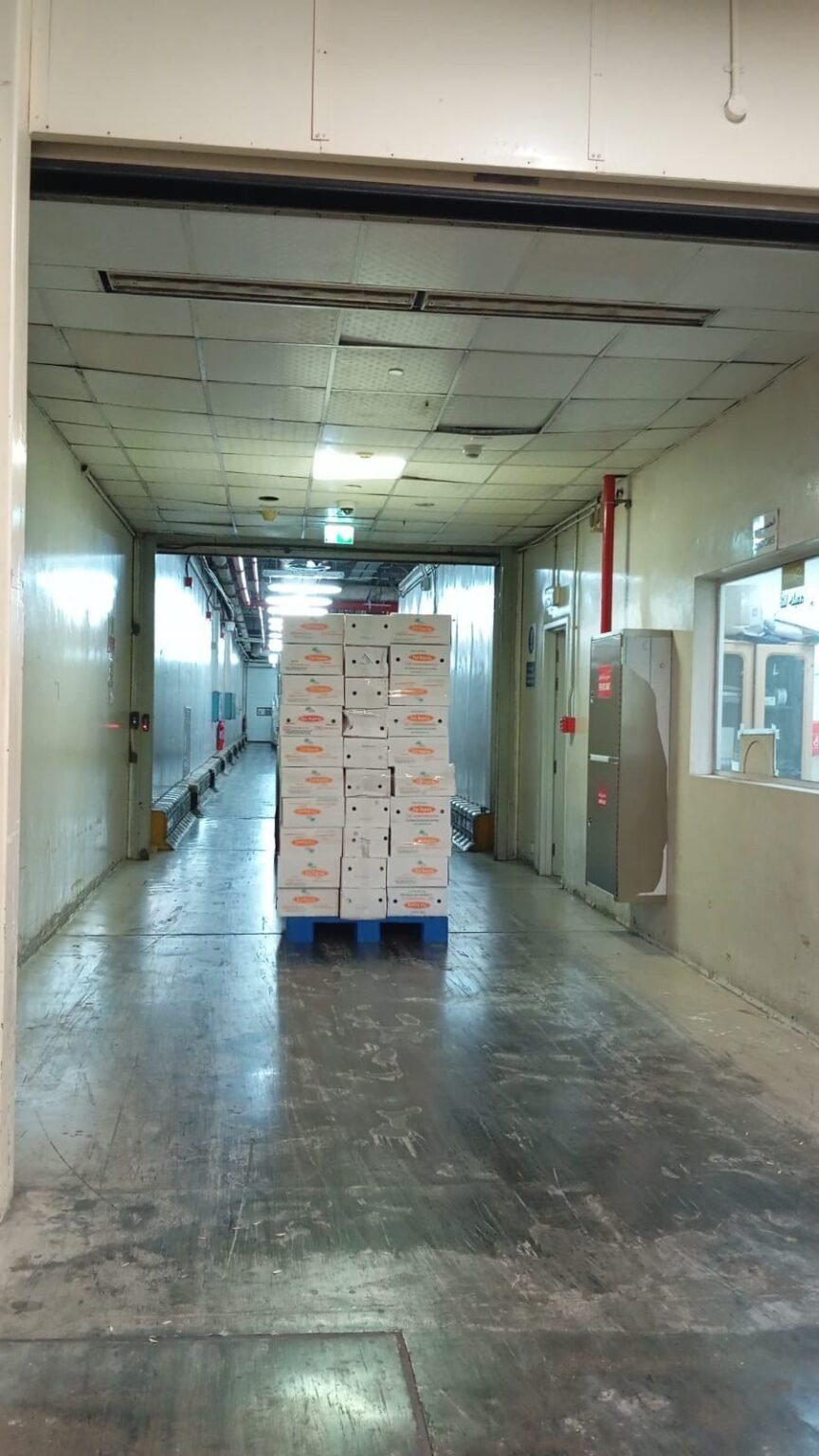 Chartered Cargo Flights Bring Fresh Food Supplies to UAE - UAE Vartha ...